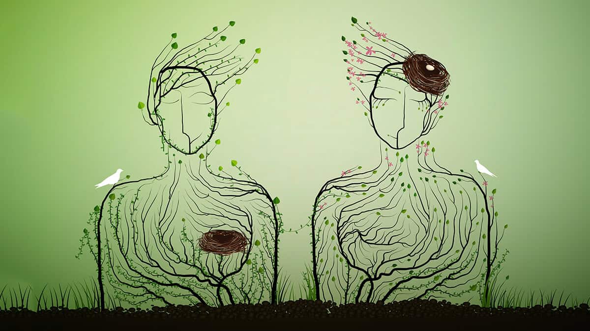 The Higher Stages of Couple Love – Integral Life